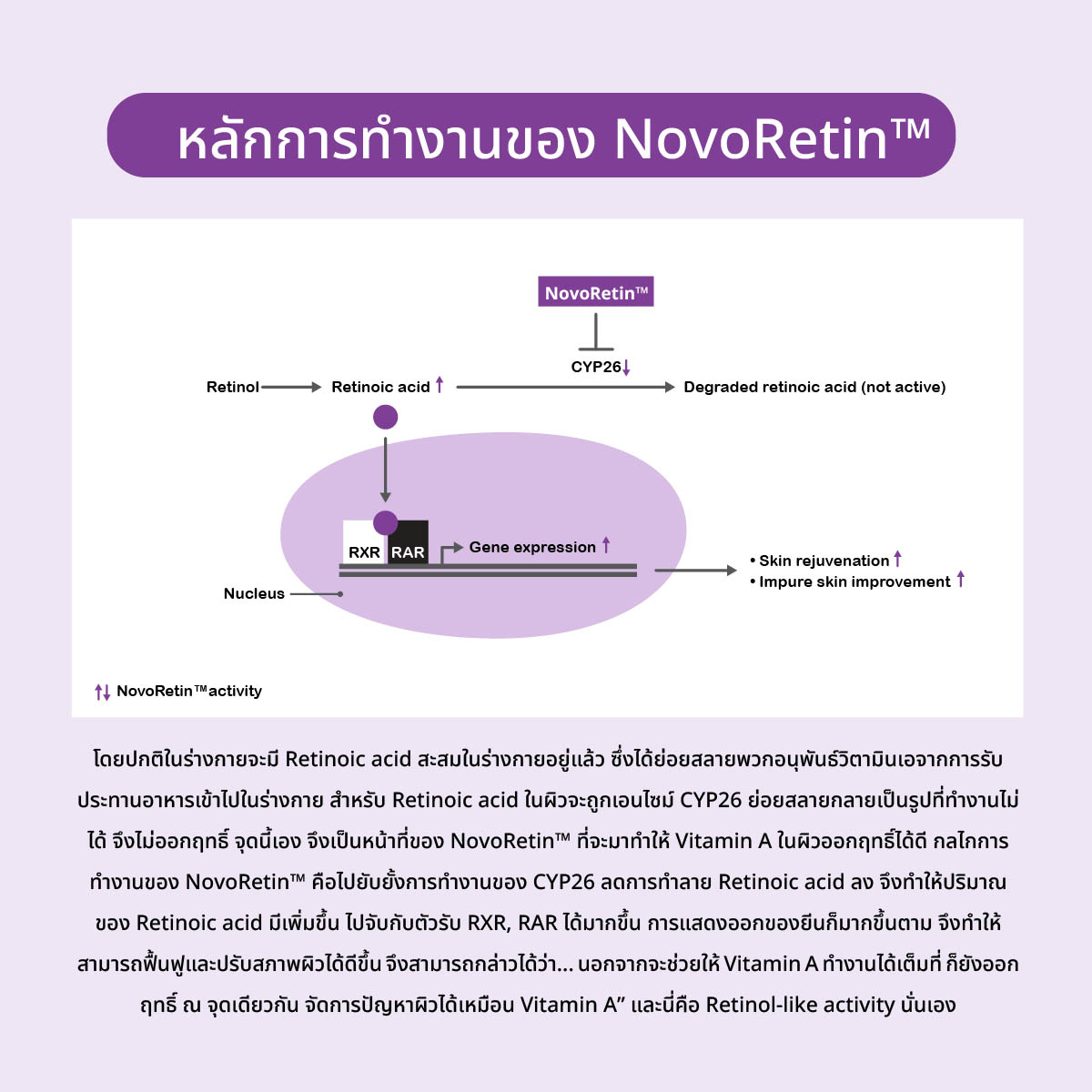NovoRetin คืออะไร? ดีกว่า Retinol หรือไม่?